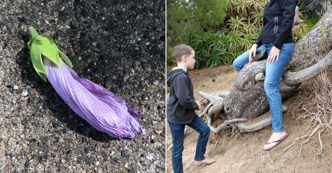 15 photos trompeuses que vous allez devoir regarder plusieurs fois pour ...