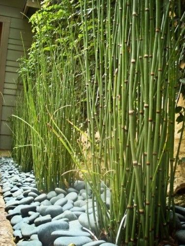 25 idées de décorations en bambou pour apporter une touche naturelle et ...