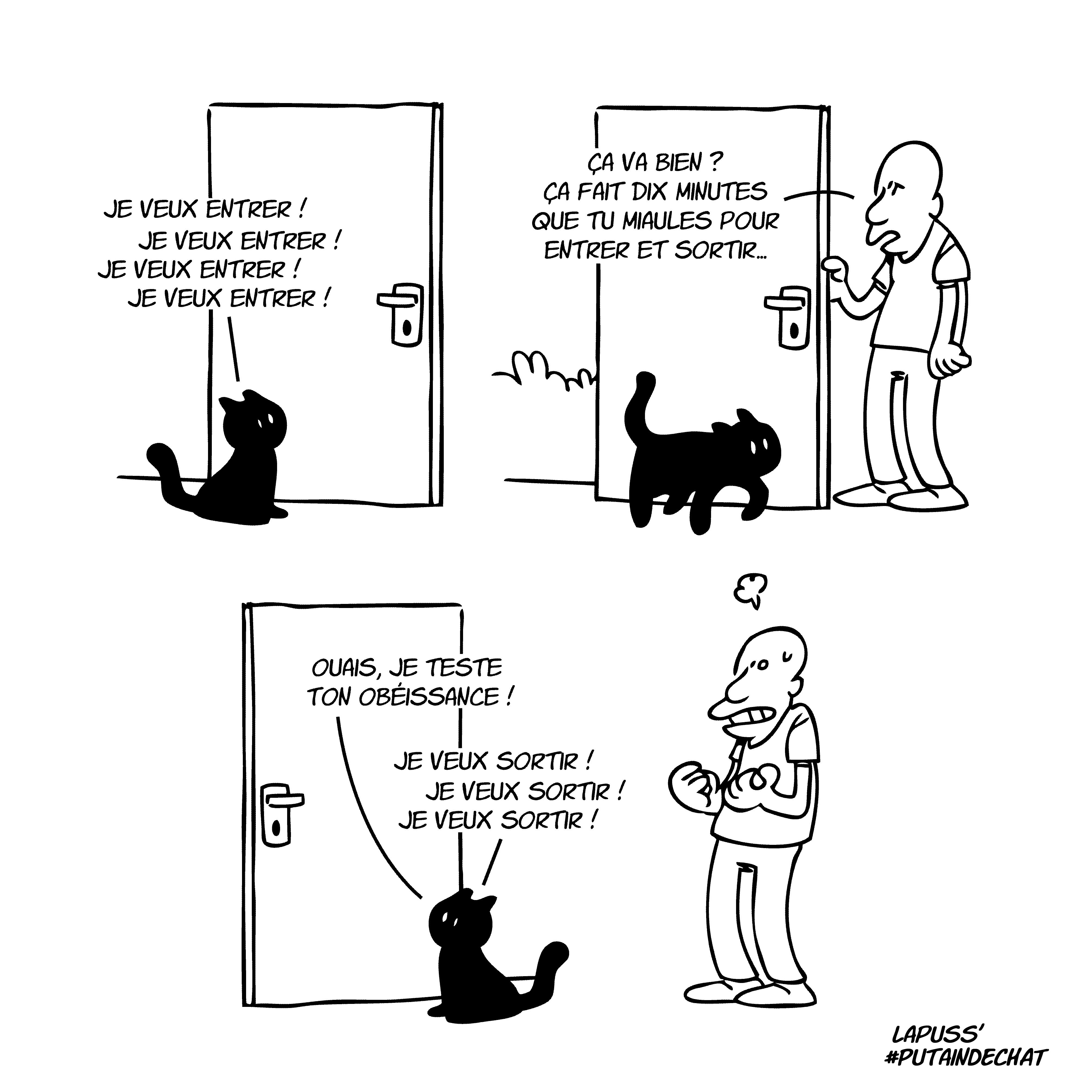 OnVaSortir! Perpignan - Le Site - Forums - page=last&idf=3&id=6990211