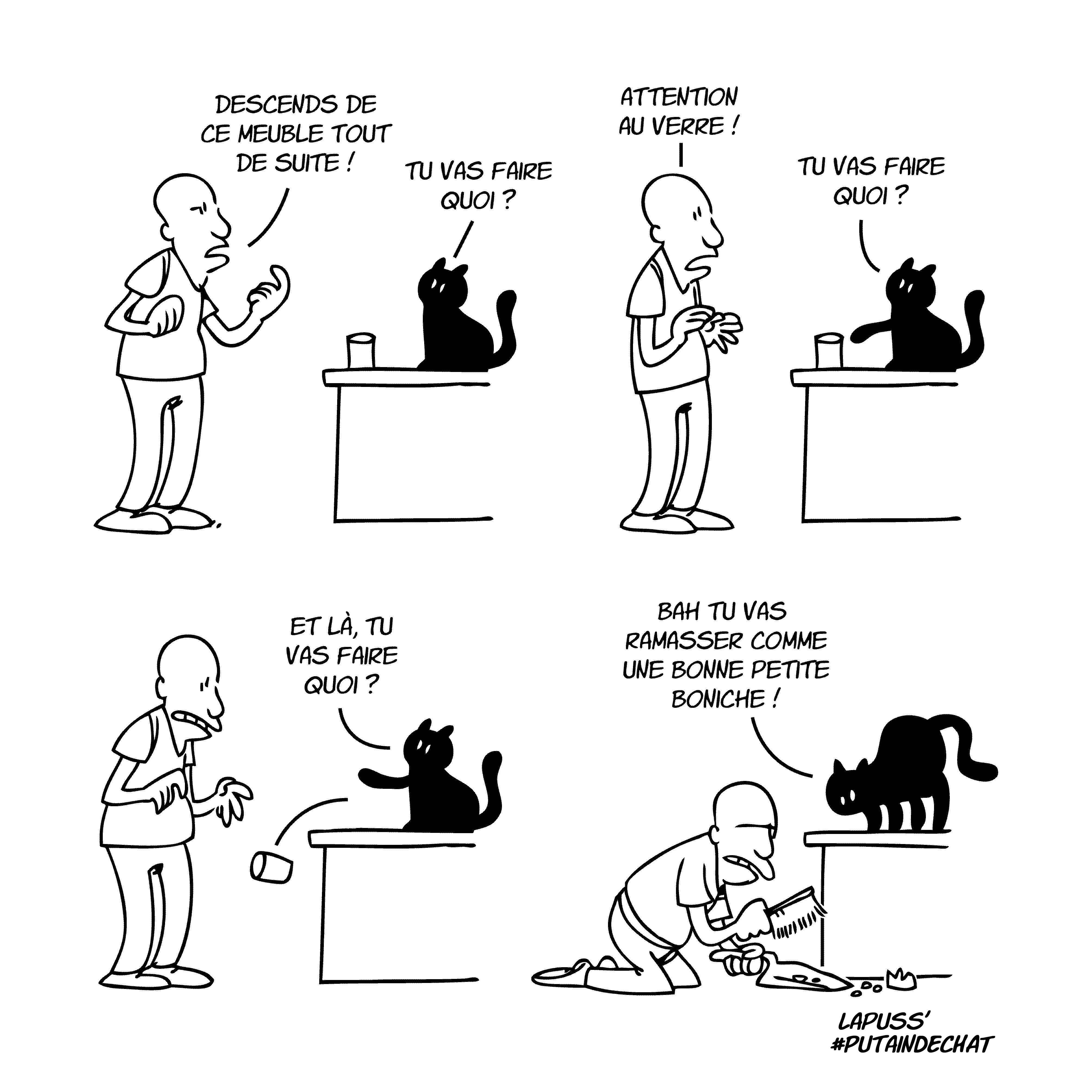 18 illustrations humoristiques qui prouvent (enfin) que les chats ...