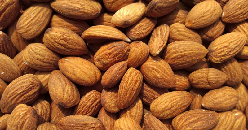 Santé : 10 bonnes raisons de consommer des amandes