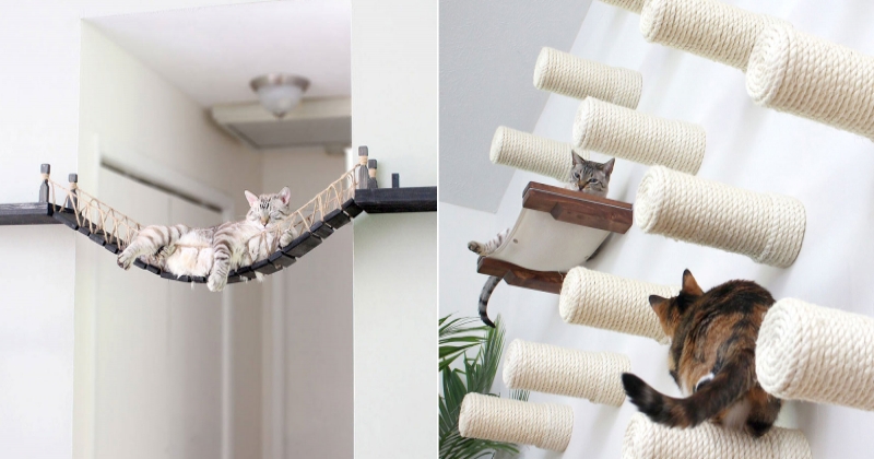 Ces accessoires pour chat se fixent sur les murs et leur offrent un ...