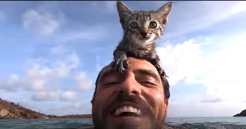 Plongée : articles, actus et dossiers de fond | Demotivateur