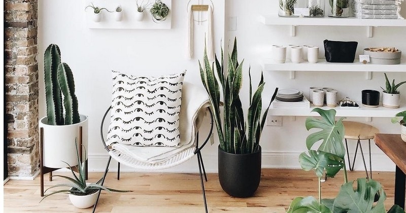 Découvrez 10 idées inspirantes pour mettre votre intérieur au vert